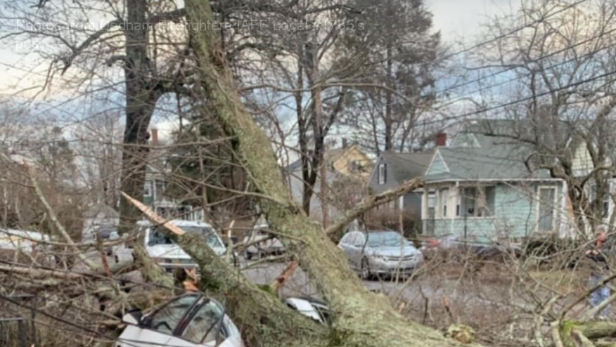 Strong winds bring down trees, crush vehicles, take out power lines