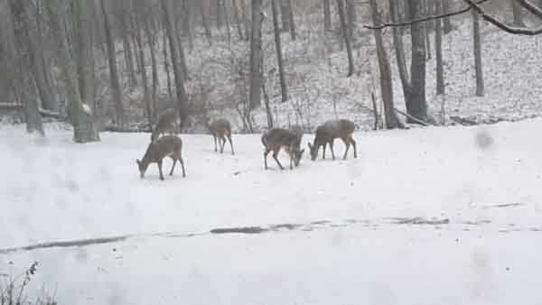 Photos: Winter storm howls through Cincinnati