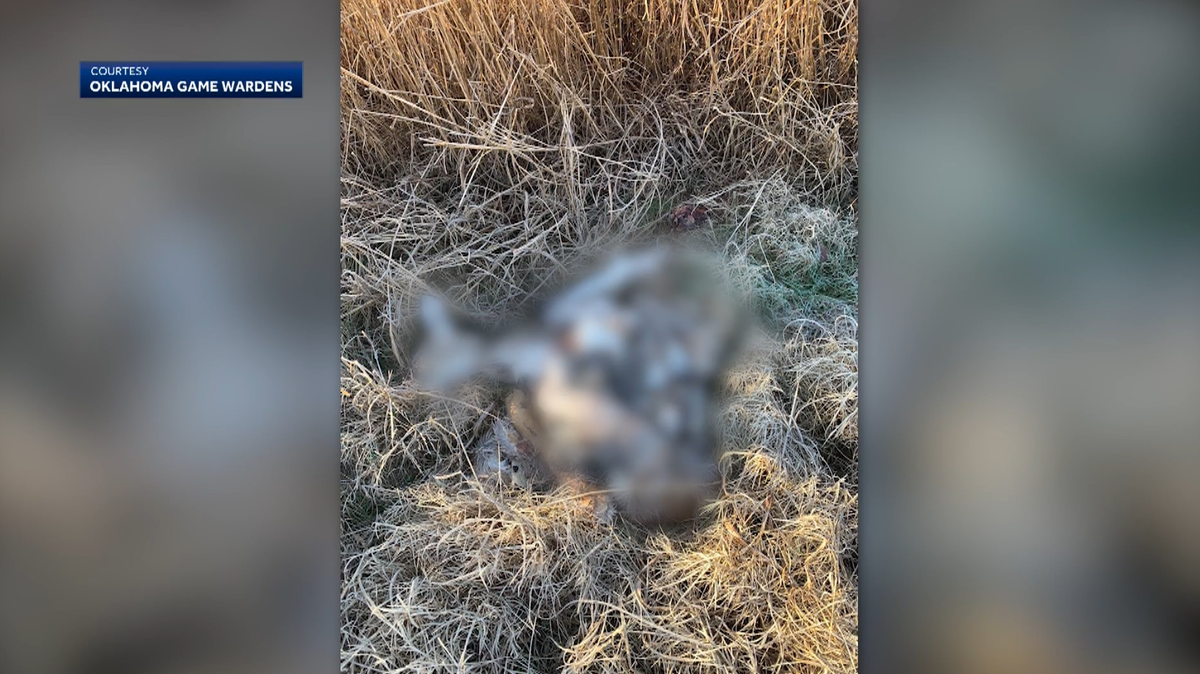 Oklahoma Game Wardens investigate illegal deer carcass dumping