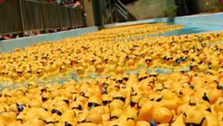 New Orleans City Park holds 15th Annual Duck Derby