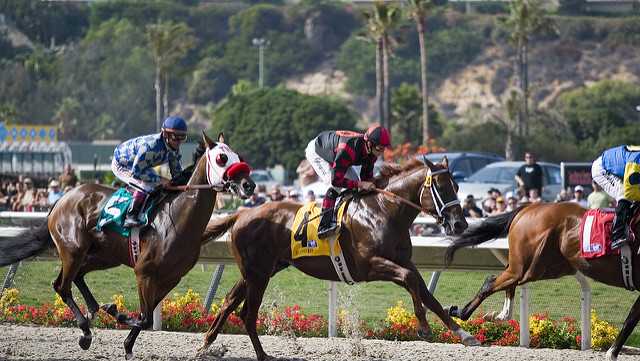 The 7 horse racing tracks you have to visit