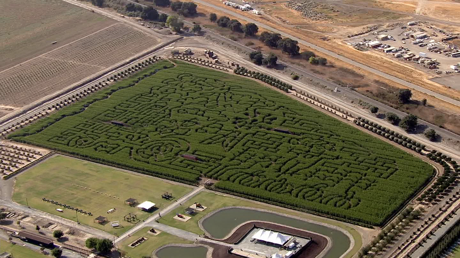 5 awesome Northern California corn mazes to explore this fall