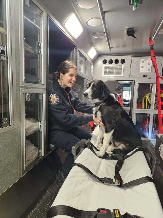 Delhi Fire introduces newest therapy dog