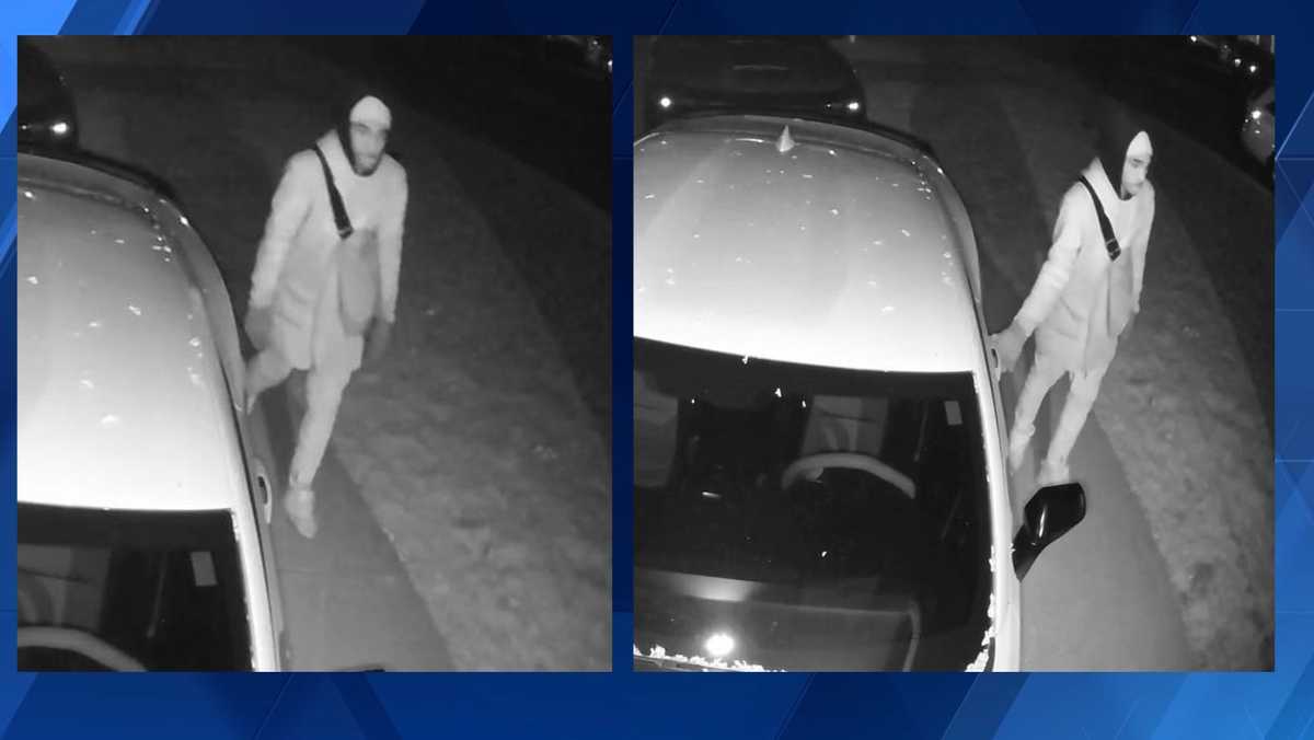 Delhi Township police release video of car theft suspect