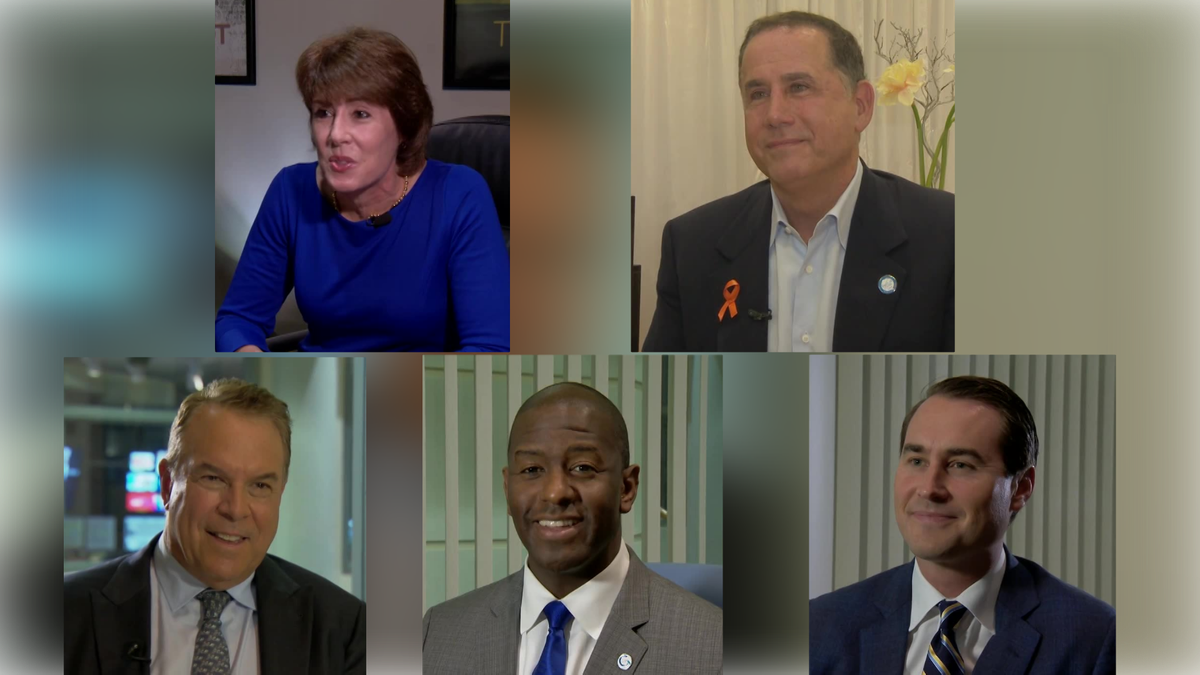 Florida Governors Race 2018 Democratic Candidates Sit Down With Wesh