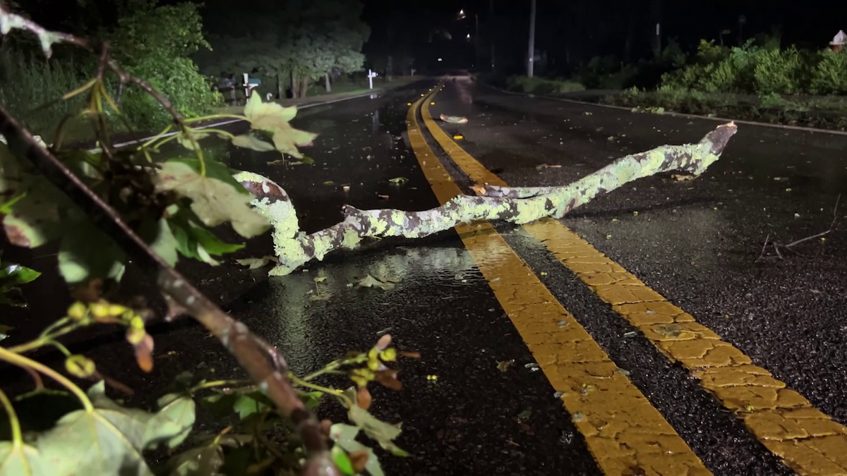 Lee's winds down tree limbs, contribute to storm surge