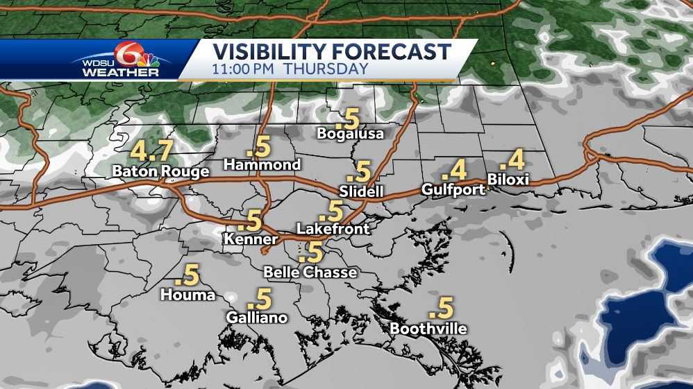 Dense Fog Delays Daily Warming