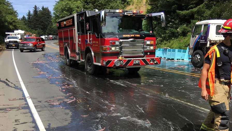 Cars covered in slime, highway covered in eels after crash