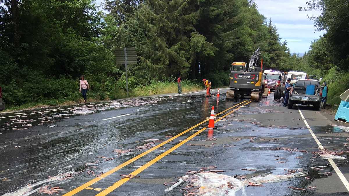 Cars covered in slime, highway covered in eels after crash