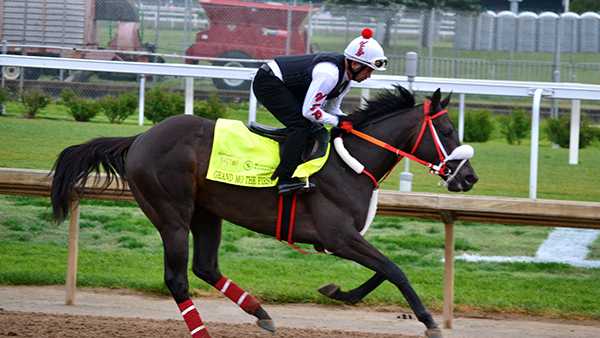 Kentucky Derby 150 notebook: Tuesday, April 30
