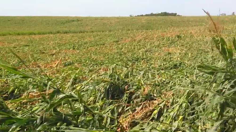 18 Iowa counties designated as agriculture disaster areas