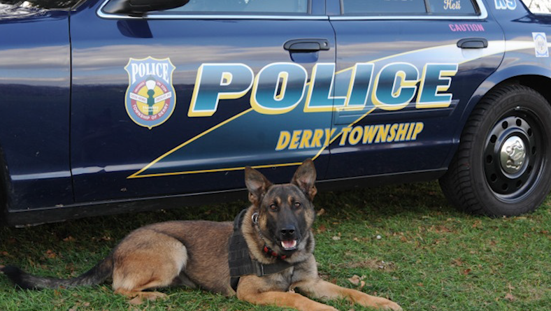 Dauphin County K-9 laid to rest
