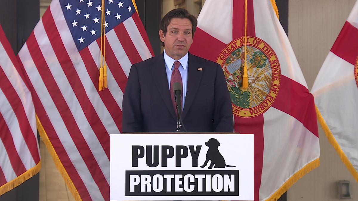 Bill to crack down on puppy mills and bad breeders