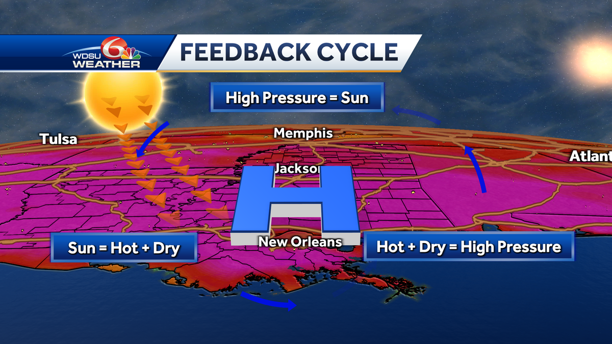Feedback process feedback cycle drought heat wave