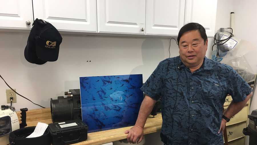 Pacific Grove man's shark photograph featured on new Shark Forever Stamp