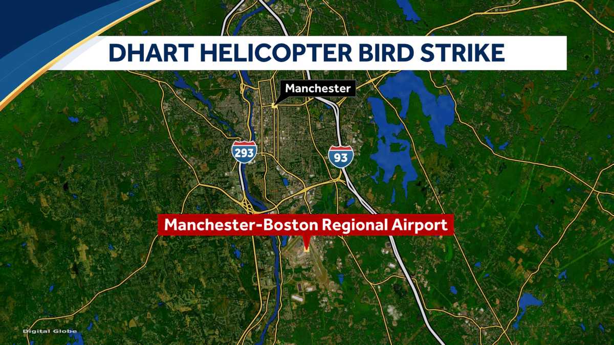 DHART helicopter strikes bird on approach into Manchester airport