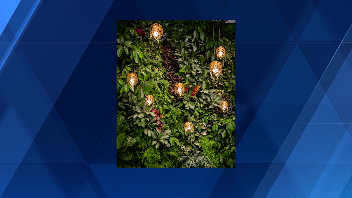 PHOTOS: Take a look inside Madtree's new OTR location, Alcove