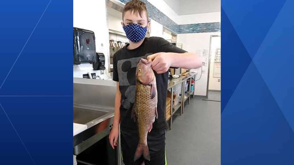 Teen from Harford County breaks state record with big fallfish