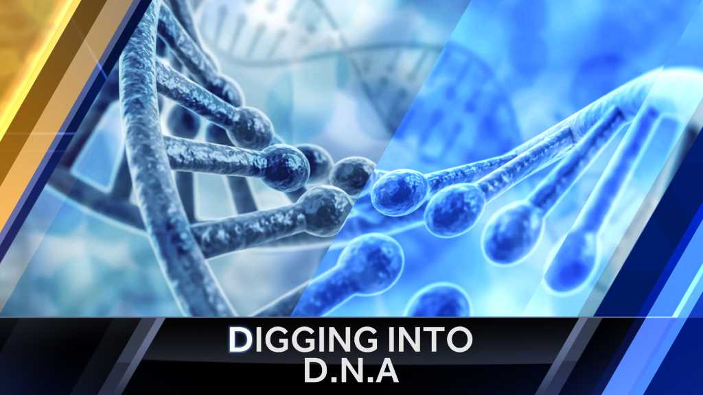 You need to know this before submitting DNA for genealogy testing