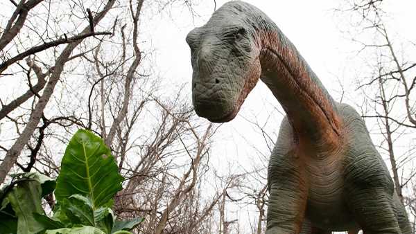 'World's largest, most lifelike' robotic dinosaur display now open at Louisville Zoo