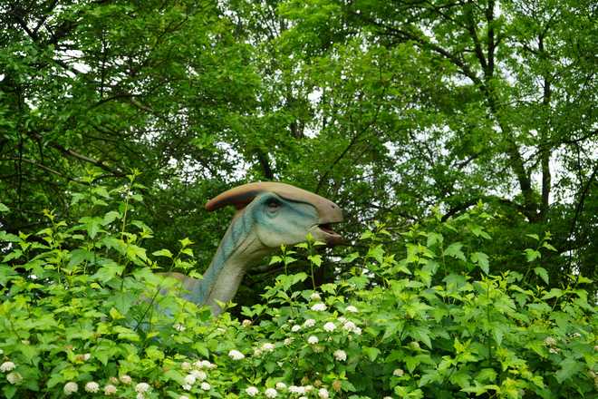 Louisville Zoo's 'Dinopalooza' to feature 19 giant animatronic dinosaurs