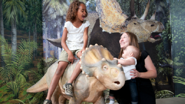 Crown Center opening new dinosaur exhibit this January