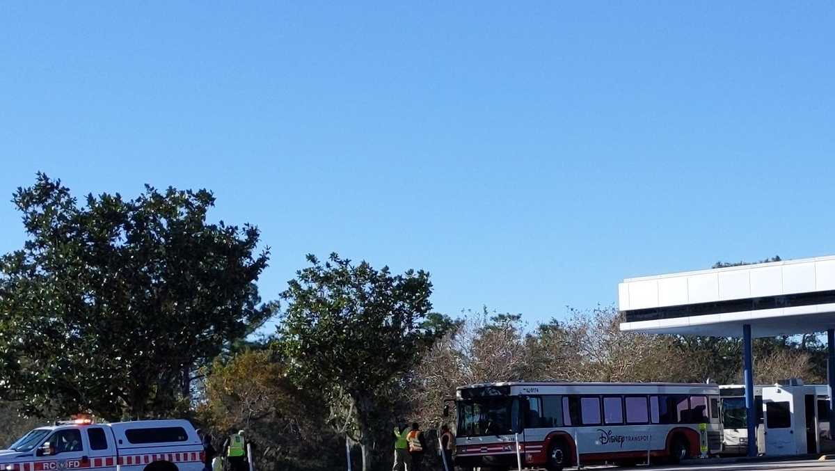 15 people treated after buses crash in Epcot parking lot
