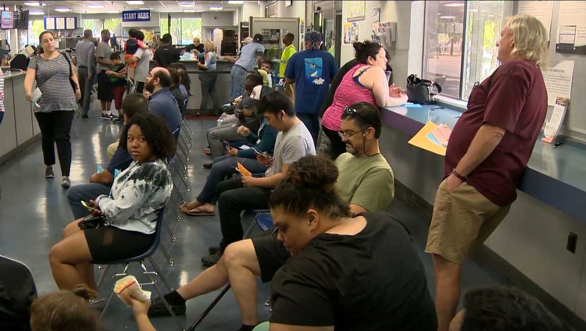 California lawmakers grill DMV officials about long lines