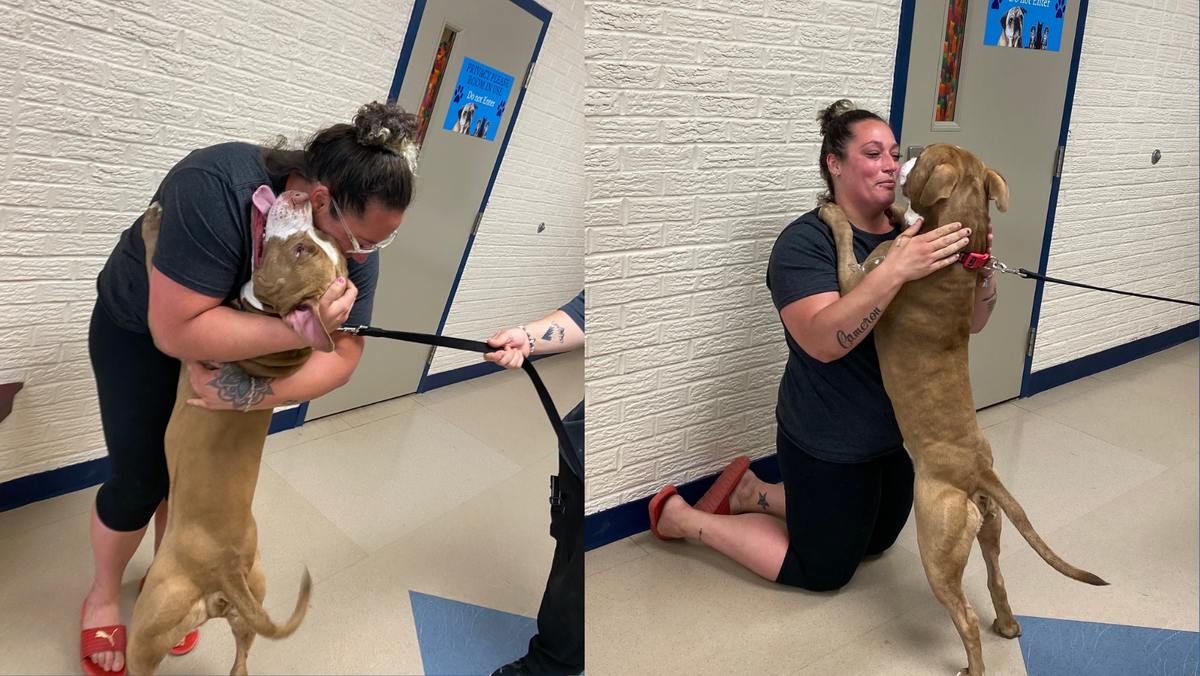 WATCH: Woman reunites with missing dog after nearly 2 years WATCH: Woman reunites with missing dog after nearly 2 years