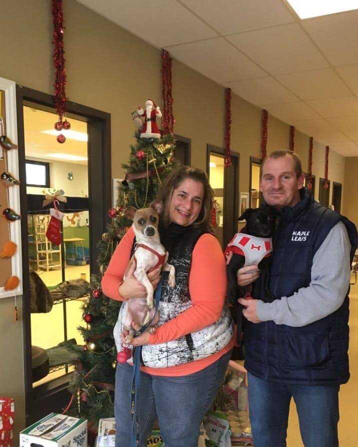 New Mexico dogs get adopted in Canada