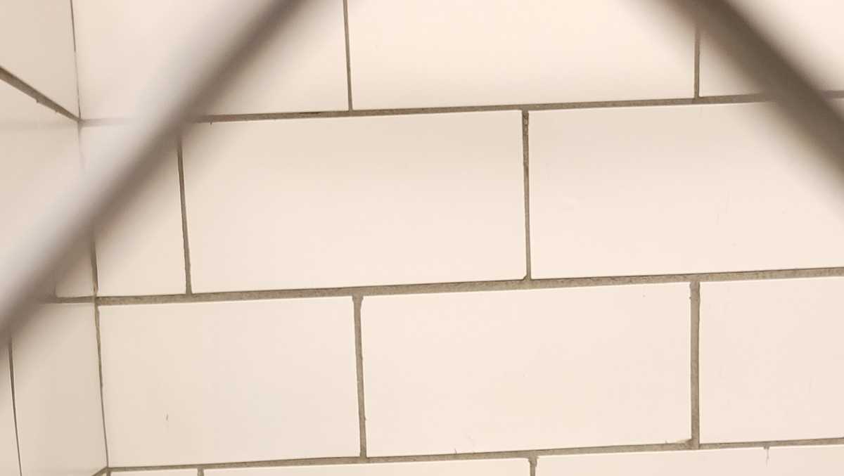 Ohio dog looking for forever home after over two years at shelter