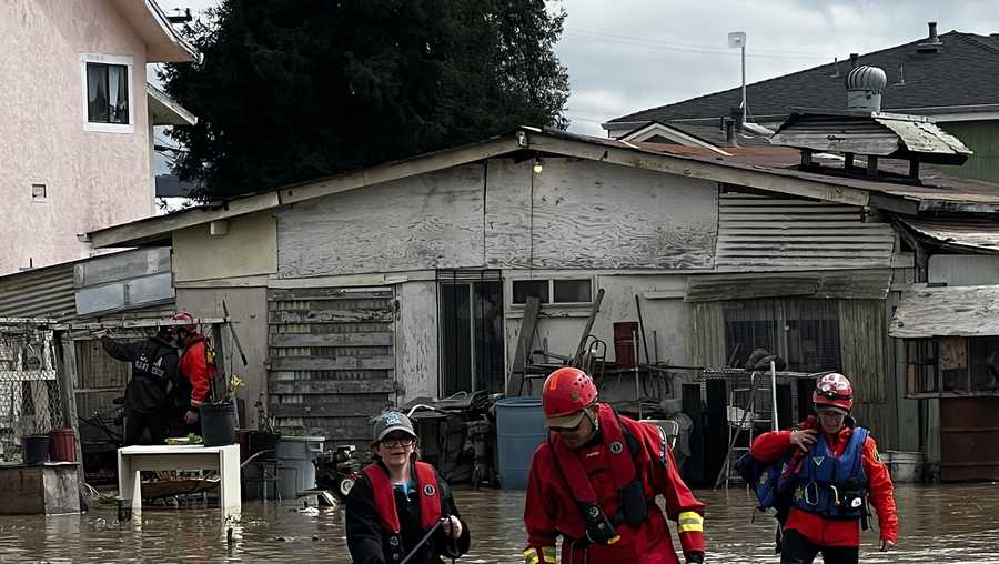 Monterey SPCA shelters more than 200 evacuated pets