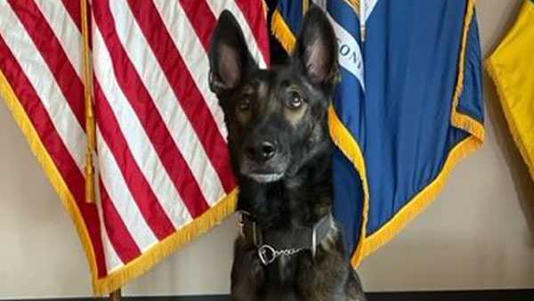 Kenner police adds a "furry" addition to their squad