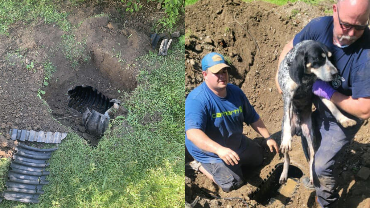 Crews rescue dog stuck in drain pipe in Brown County