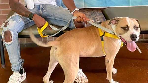 All 100 pets adopted during LMAS 'Empty the Shelter' event