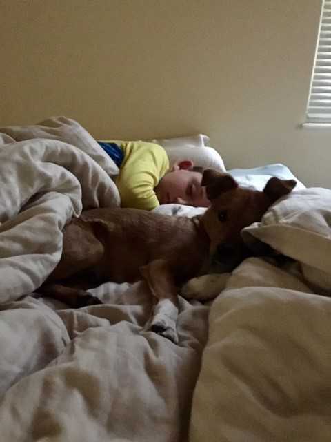 PHOTOS: Celebrate National Pet Day with the Tri-State's cutest family ...