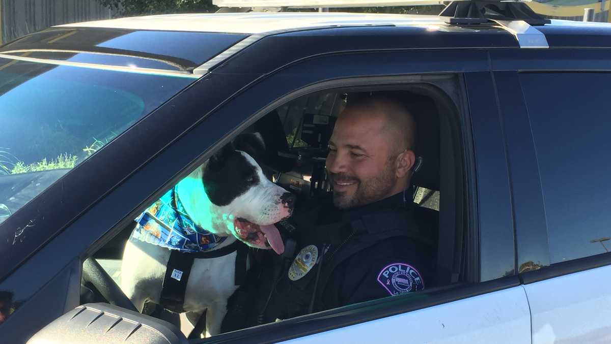 Shelter dog becomes "K-9 cop" for the day to help adoption