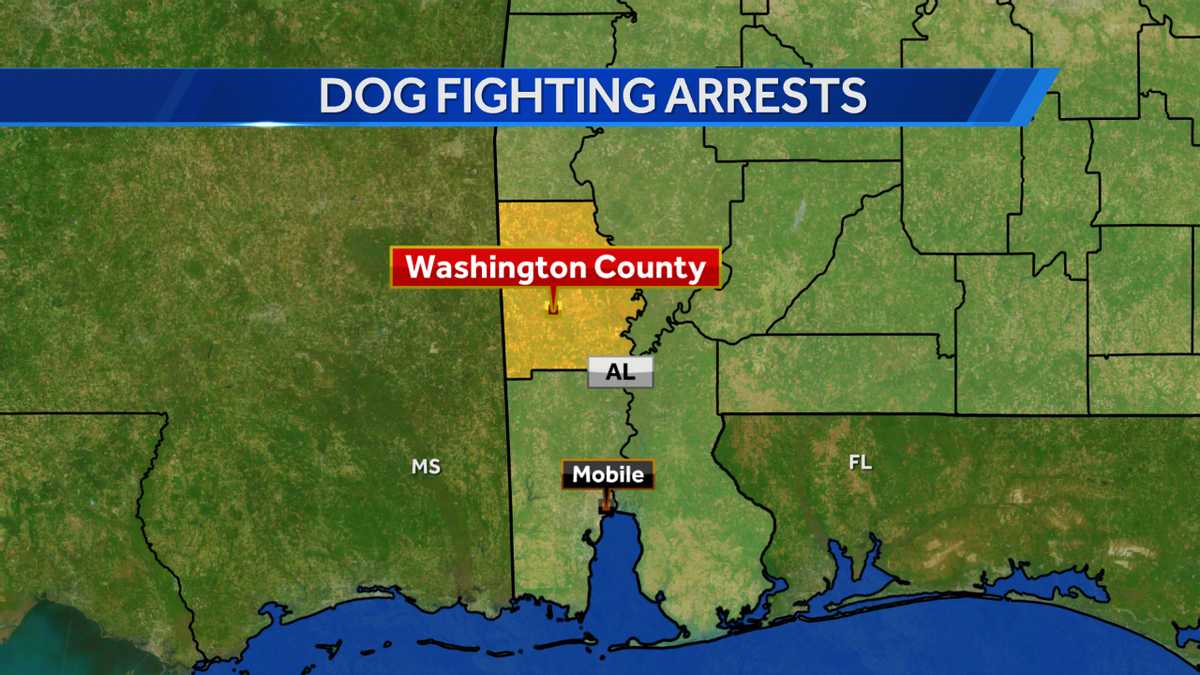 23 held after dog-fighting raid in southwest Alabama