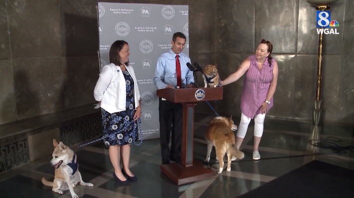 Pennsylvania auditor general to conduct follow-up audit of dog law ...