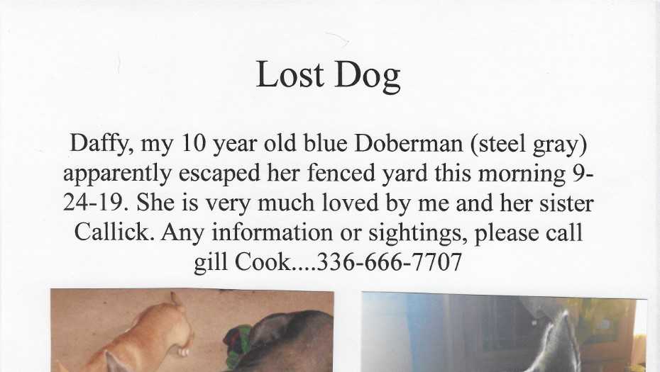 Lost and Found Pets in the WXII 12 Community
