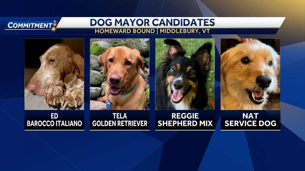 A Vermont town will elect its first-ever dog mayor. Here are the candidates