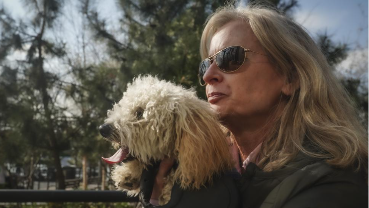 Discarded joints pose hazards for dogs