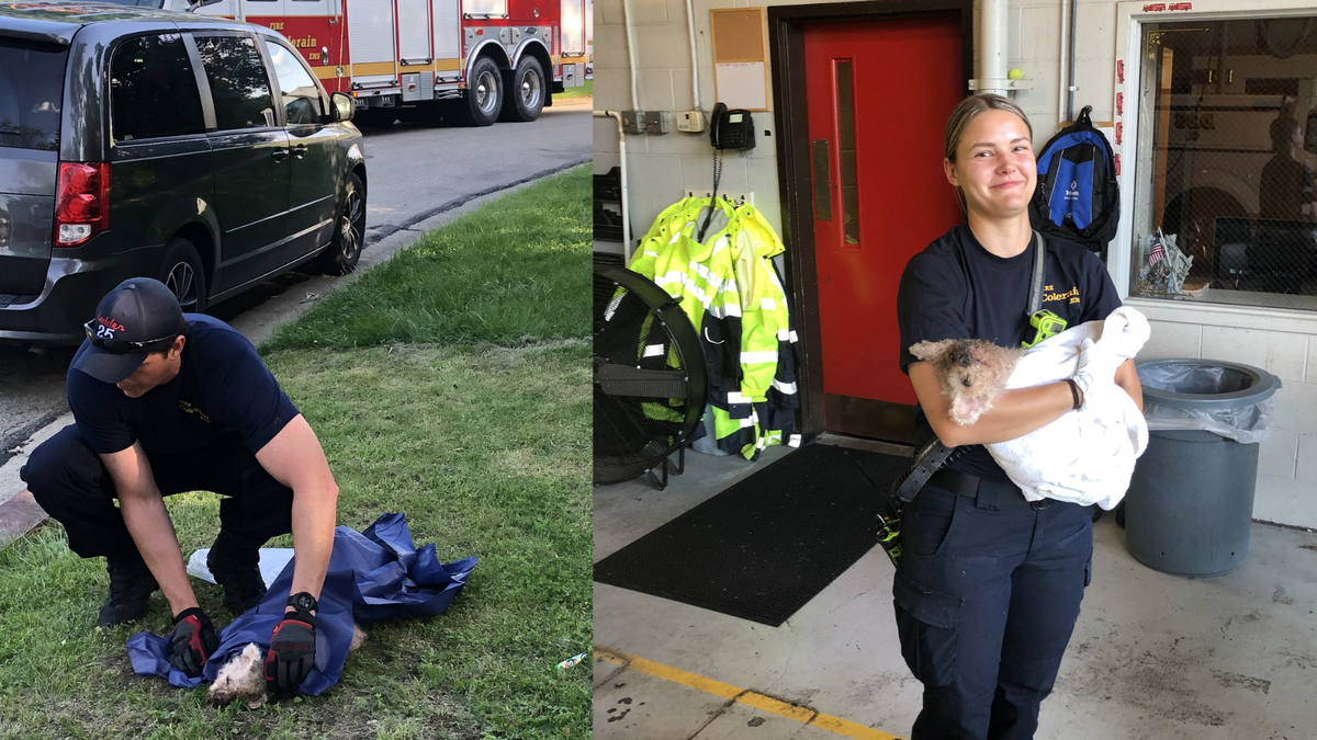 Colerain firefighters rescue dog from storm drain