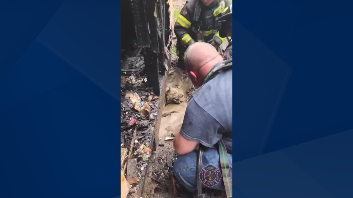 Firefighters rescue dog trapped under home during fire in Alva