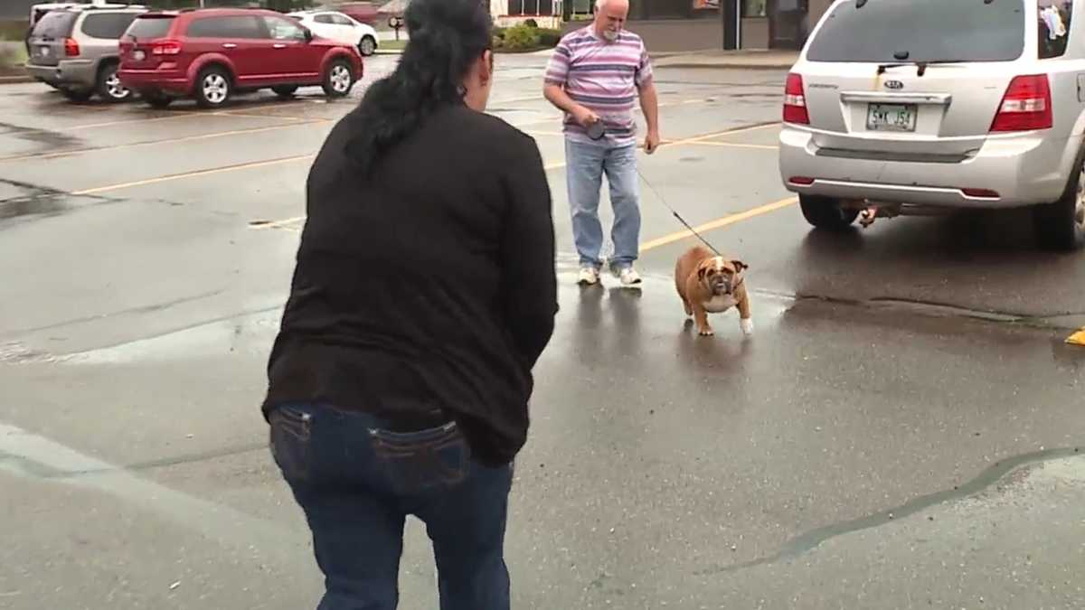 Dog reunited with owner after being found more than 1,000 miles from home