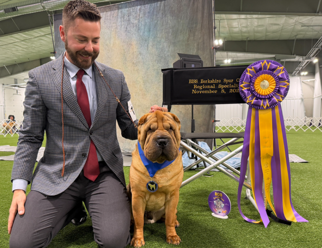 How many Vermont dogs competed in the National Dog Show?