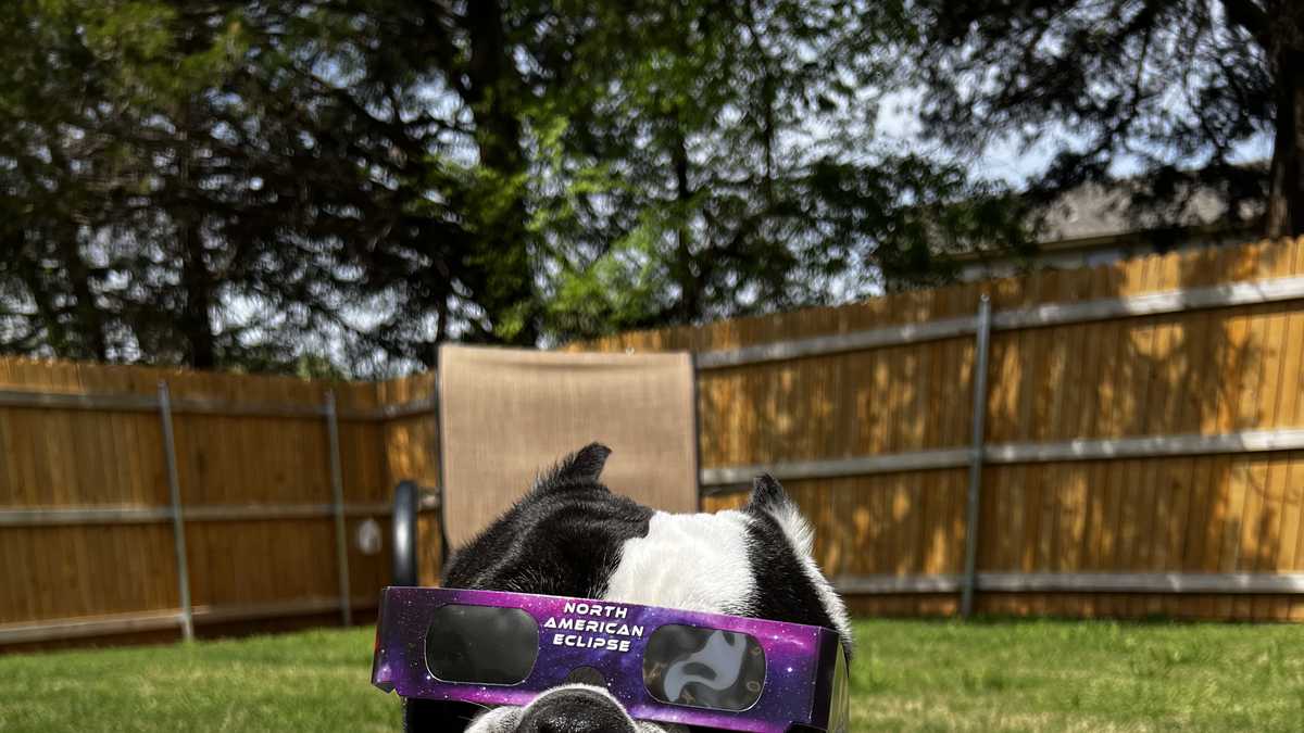 GALLERY: Watching the solar eclipse above Oklahoma's sky