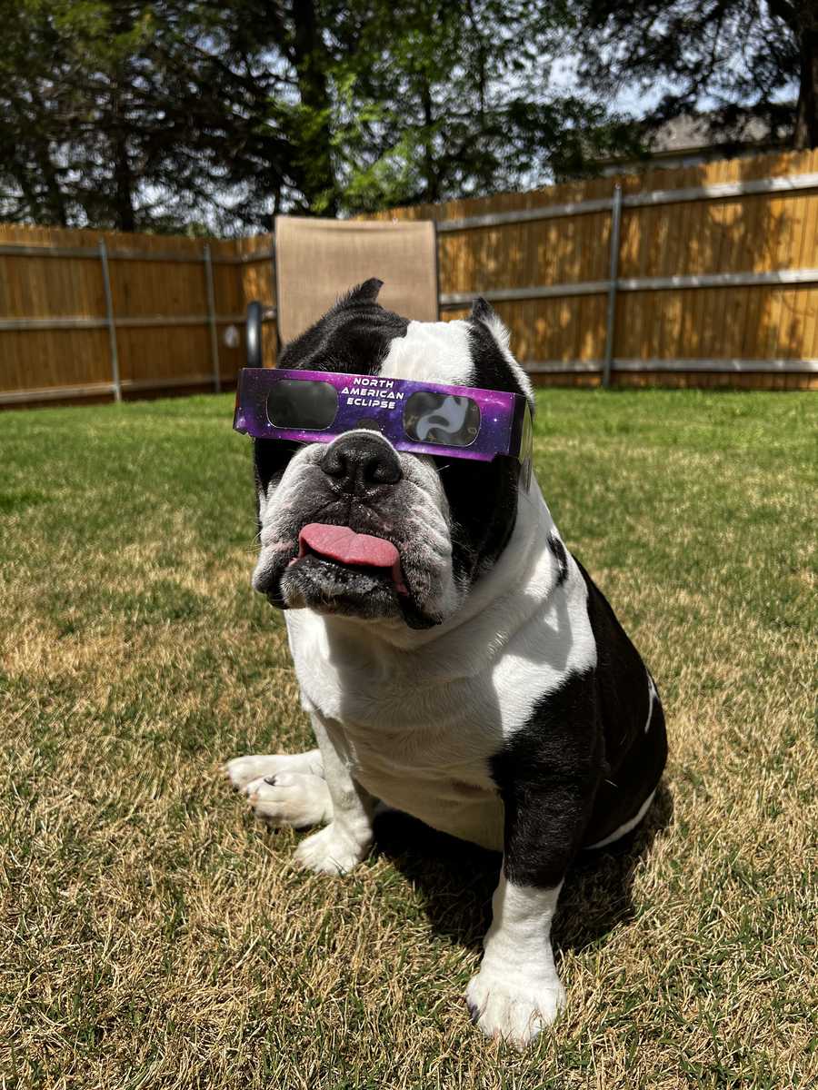 GALLERY: Watching the solar eclipse above Oklahoma's sky