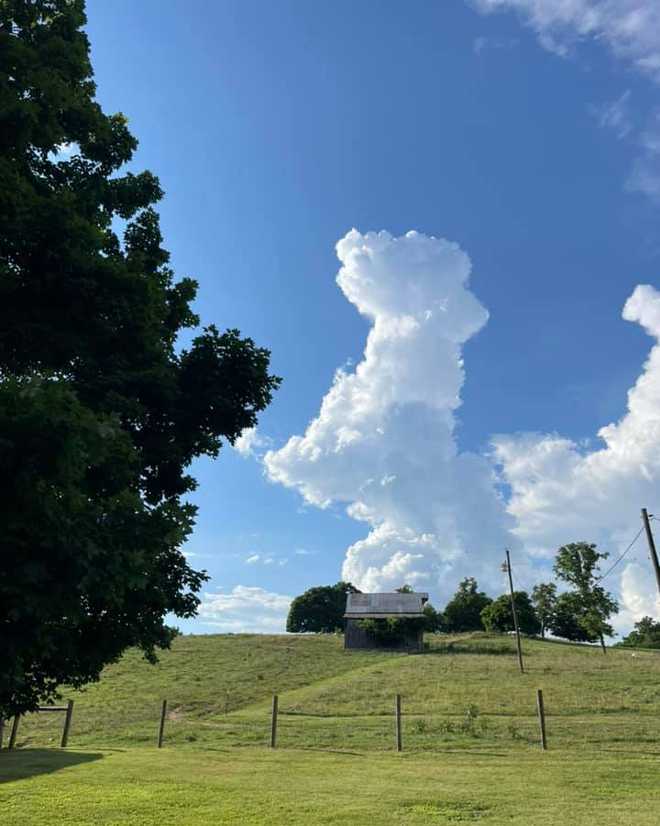 Do you see it? Check out these photos of clouds in the shape of a dog ...