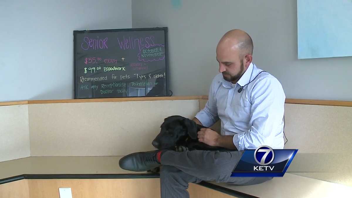 Man finds dog after 2 years apart